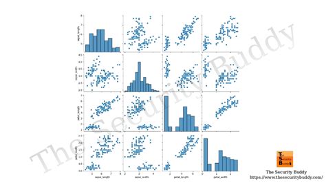 how to plot a pair plot using the seaborn python library the security buddy