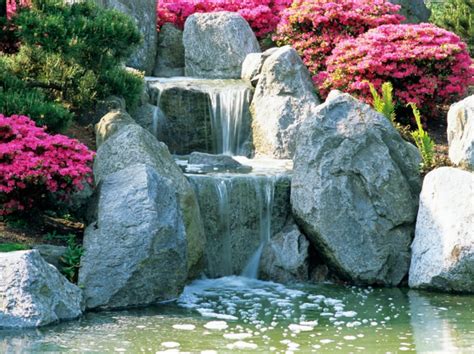 Cascade bassin de jardin 27 idées créer votre havre de paix
