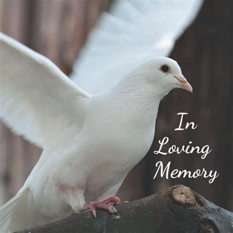 Buy In Loving Memory Funeral Guest Book Dove Picture For Memorial