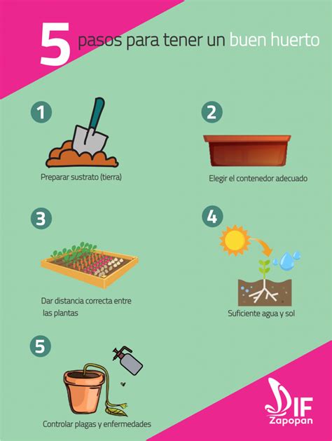 5 Pasos Para Tener Un Buen Huerto DIF Zapopan