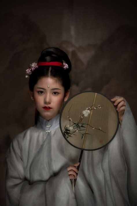 Hanfu China Ming Dynasty Chinese Traditional Clothing Hanfu