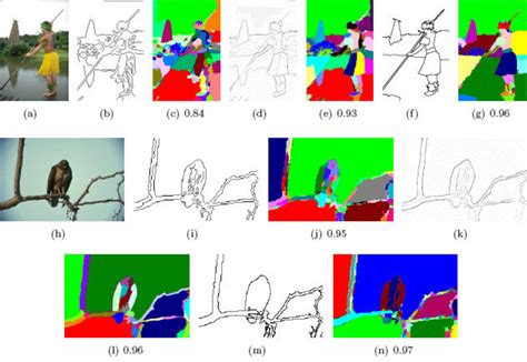 edge maps and segmentation results a input image b canny edge download scientific diagram