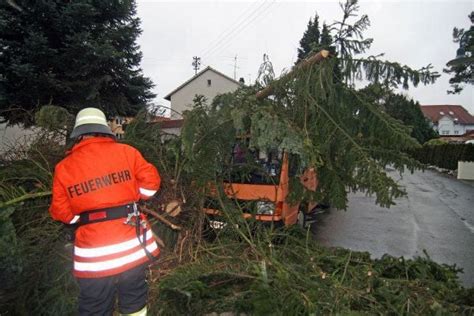 Andrea sorgt für Wirbel Baum begräbt Auto unter sich