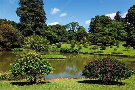 Peradeniya Wallpapers Wallpaper Cave