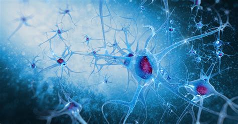 Guillain Barr Syndrom Pathogenese Diagnostik Und Therapie