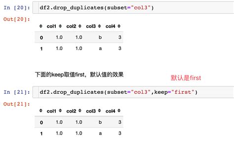 图解pandas重复值处理 pandas 判断series是否有重复 csdn博客