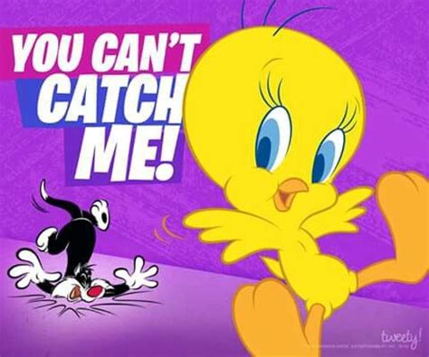Pin By Dorothy Ford On Tweety Bird Tweety Bird Quotes Tweety Bird