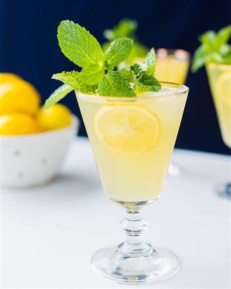 Sparkling Meyer Lemon Gin Cocktails With Mint Recipe The Feedfeed