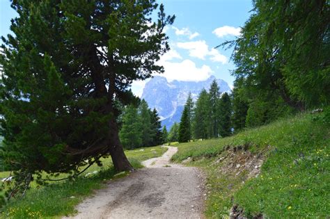 Escursione al rifugio Città di Carpi da Misurina Montagna di Viaggi