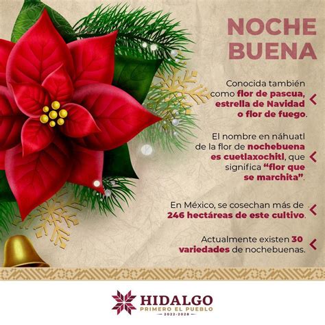 Gobierno de Hidalgo on Twitter Año con año las nochebuenas se han