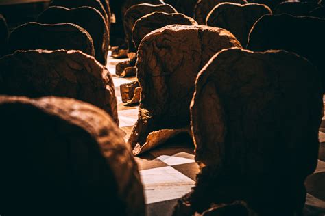 Abakanowicz Konfrontacje W Zamku Kr Lewskim W Warszawie Szum