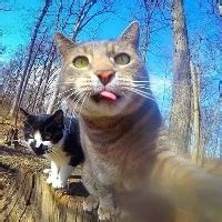 Failed To Connect Mysql Database Please Check Username And Password
