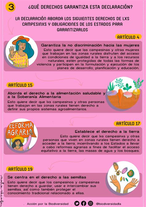 Infografía 3 Qué derechos garantiza la Declaración de los derechos