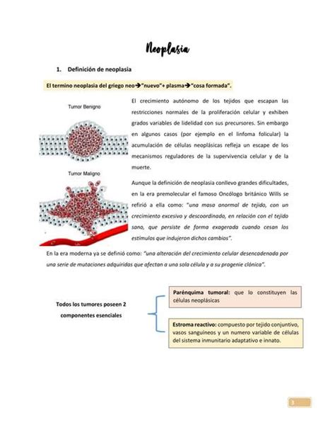 Neoplasia Cap De Patolog A Estructural Y Funcional De Robbins