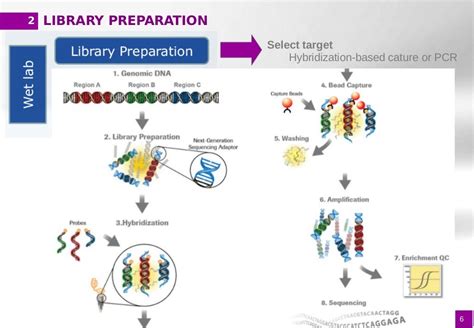 introduction to ngs variant calling analysis ueb uat bioinformatics