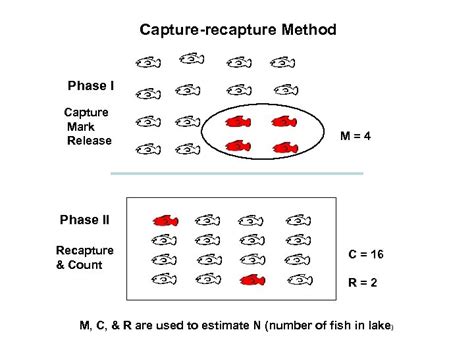 interesting examples of capture recapture from biology public health