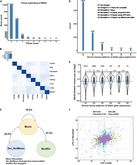 Frontiers Systematic Analysis Of Monoallelic Gene Expression And