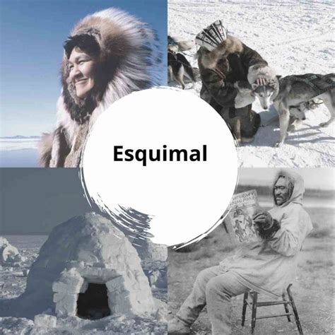 Esquimal Vestimenta lengua ubicación y gastronomía