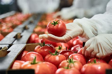 RSE et agroalimentaire comment initier sa démarche