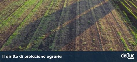 Prelazione agraria quando si può esercitare il diritto