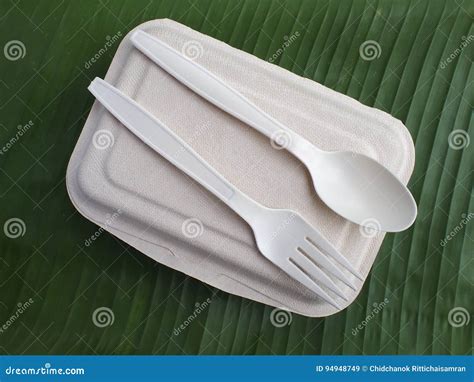 Bioplastic Spoon Fork And Disposable Lunch Box On Banana Leaf Stock