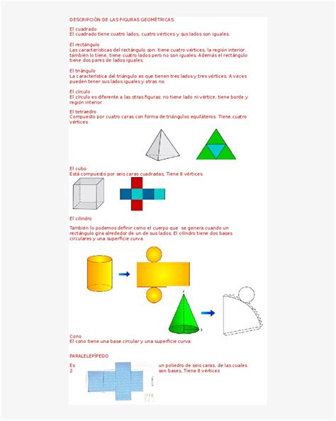 Caras Y Vertices Del Cilindro Caracteristicas De Un Cilindro