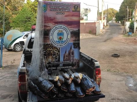 PMA Prende E Autua Pescador Profissional E Apreende 134 Kg De Pescado