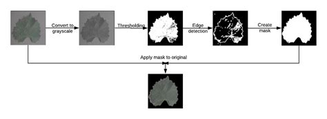 image segmentation with python siddhant sadangi better programming