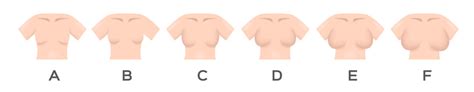 Breast Sizes And Shape Xxx Porn