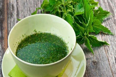 Şifalı ısırgan otu çorbası nasıl yapılır Isırgan otu nasıl pişer