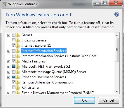 Configure IIS In Windows