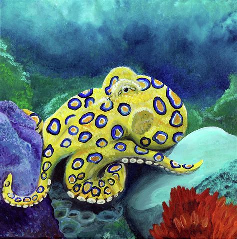 Blue Ringed Octopus Painting By Jaidra Durant Fine Art America