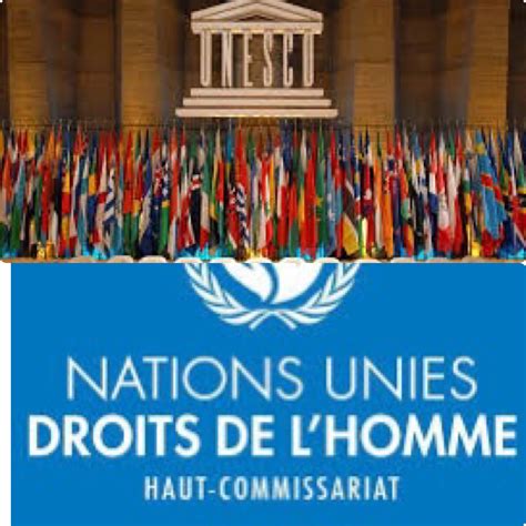 LUNESCO Et Le Haut Commissariat Des Nations Unies Aux Droits De L