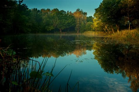 Banco De Imagens Panorama Rvore Agua Natureza Floresta Regi O