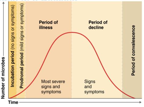 Chapter Principles Of Diseases And Epidemiology Flashcards Quizlet