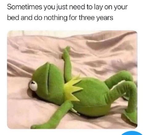 Kermit Meme Subido Por Thememehunter Memedroid