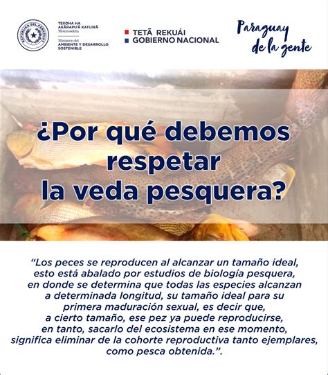 Importancia de la veda pesquera para la conservación del ecosistema