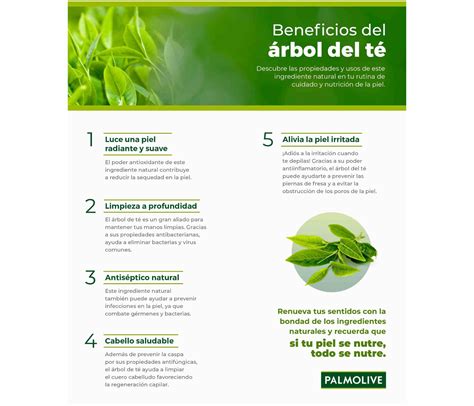 Descubre los beneficios del aceite de árbol de té mezclado con crema