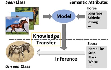 understanding zero shot learning few and one shot learning