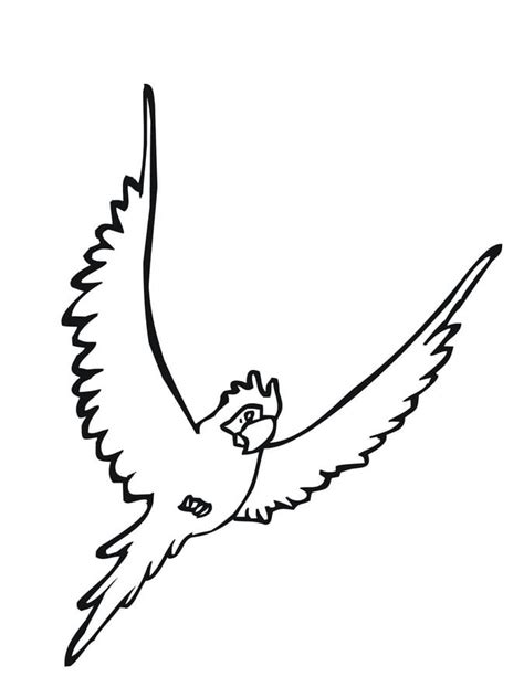 Dibujos Para Colorear Periquito Imprimible Gratis Para Los Ni Os Y