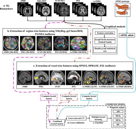 Frontiers Classification And Graphical Analysis Of Alzheimers