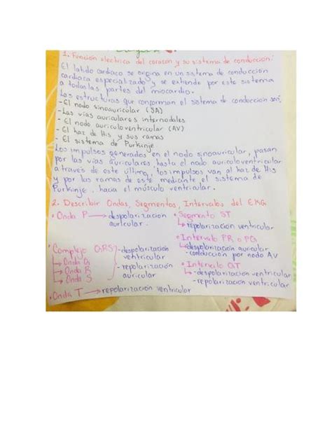 Fisiologia Udocz