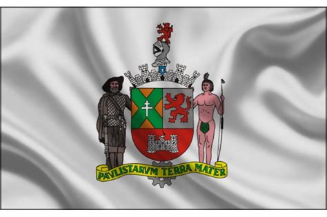 Bandeira oficial do município de São Bernardo do Campo Ecco Bandeiras