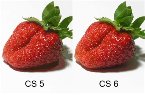 Adobe Illustrator CS6 Beginners Guides Tutorials