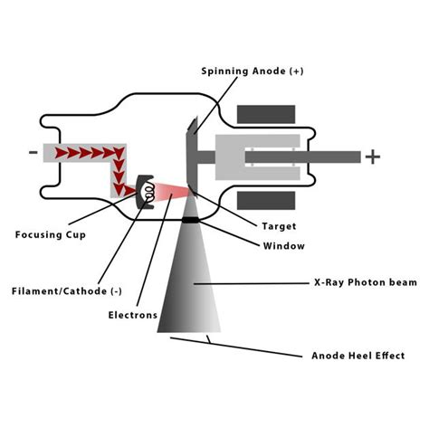 Drawing Of An X Ray Tube And Collimator Schematic