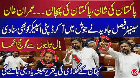Historic Speech Senator Faisal Javed Aggressive Speech In Senate