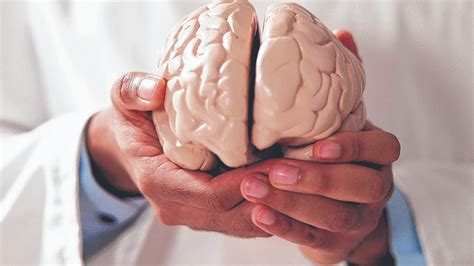Hoy 22 de Julio Día Mundial del Cerebro JujuyPrimicias