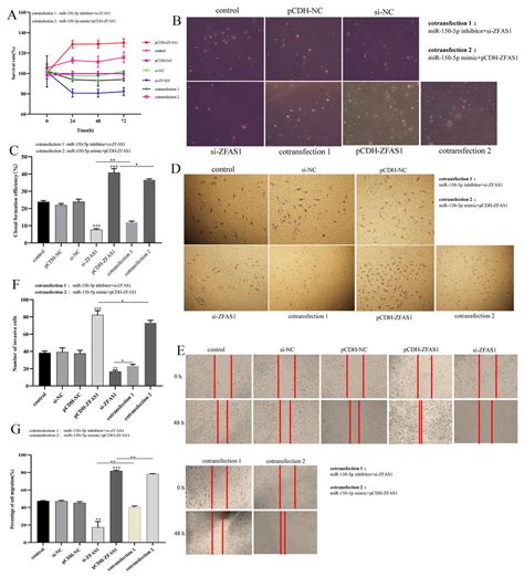 High Throughput Sequencing Approach For The Identification Of LncRNA