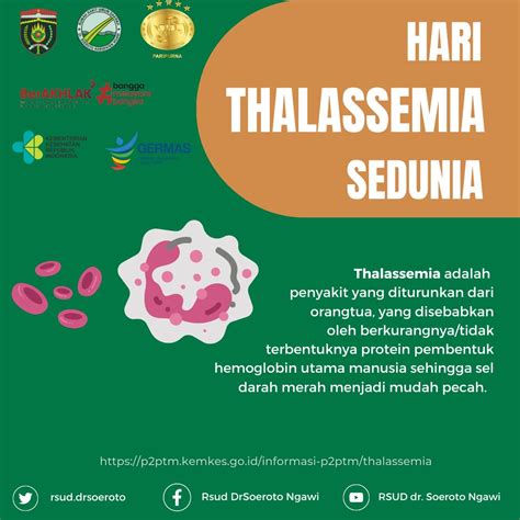 Memperigati Hari Thalassemia Sedunia Tahun Rsud Dr Soeroto