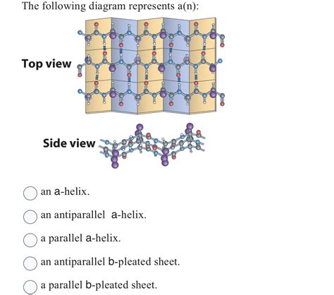 Beta Pleated Sheet And Alpha Helix